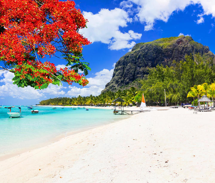 Regent Seven Seas Cruises | LoveitBookit Regent Seven Seas Cruises | LoveitBookit