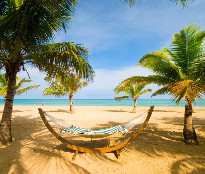 MSC Orchestra Ship | LoveitBookit